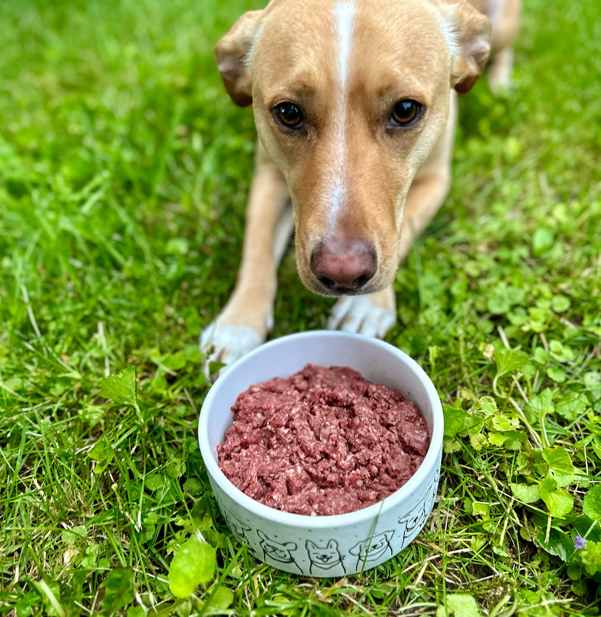 Best Friends Meat Blend (1#) – Peterson Craft Meats